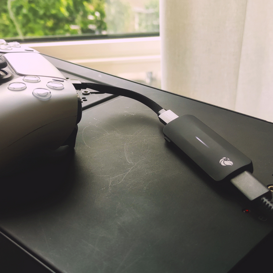 Leo: The Battery Life Extender – Liion Power
